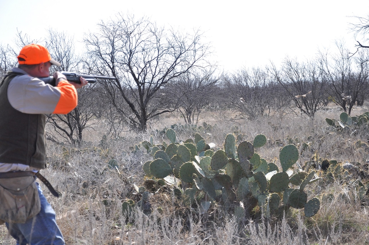 Page 3/11 - First Shot Outfitters Quail Hunts Photo Gallery